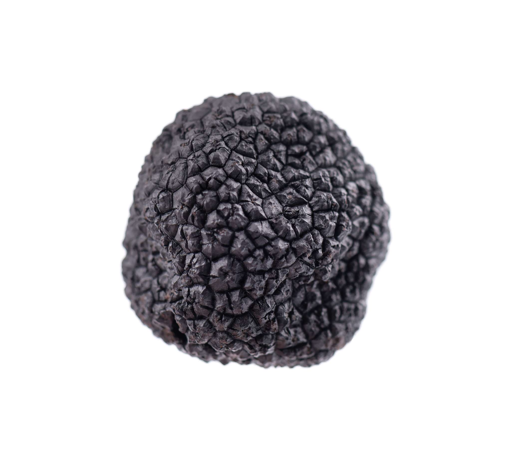 Buy Direct Sydney Fresh Premium Truffles - Truffle Dealer