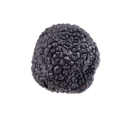 Buy Direct Sydney Fresh Premium Truffles - Truffle Dealer
